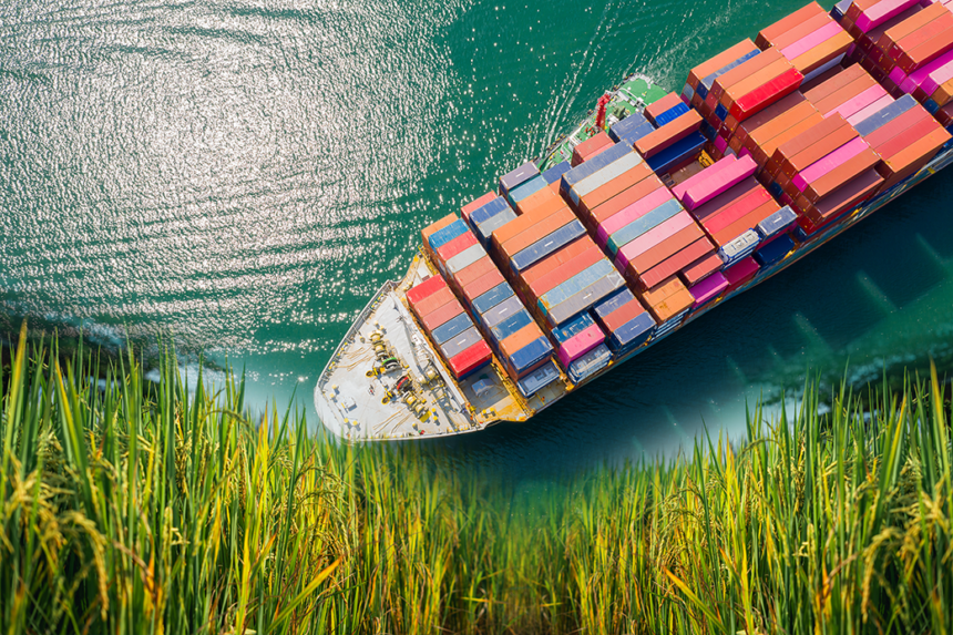 Department in fresh push to boost exports - Thai Rice Exporter Top ...